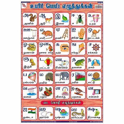 TAC04 | TEACHINGNEST Tamil Alphabet Chart | Laminated 33x48 cm (13x19 ...