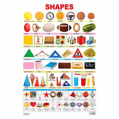 Shapes Educational Wall Chart For Kids - Both Side Laminated, 48 x 73 ...