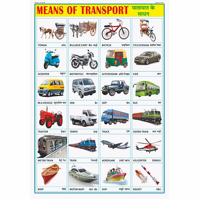 Vehicles Chart For Kids | 70x100 cm (Extra Large Size to attract Kids ...