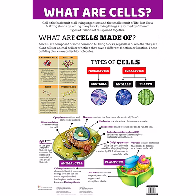 Charts: What are Cells? Charts (Educational Charts for kids) Wall Chart ...