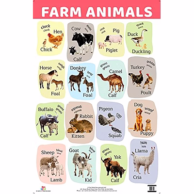 Charts: Farm Animals Charts (Educational Charts for kids) Wall Chart ...