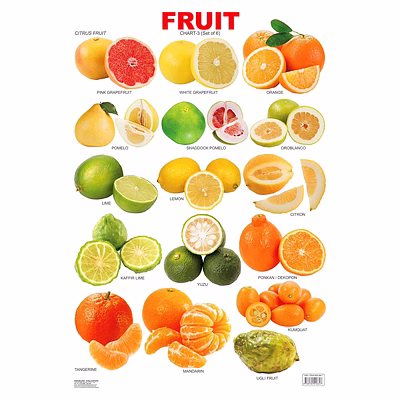 Fruit Chart - 3 Educational Wall Chart For Kids - Both Side Hard ...