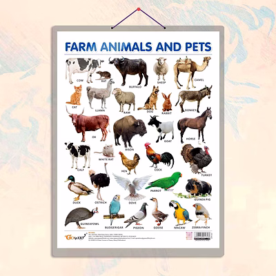 Farm Animals and Pets Chart - 15x20 Inches, Hard Laminated, Hardcover ...