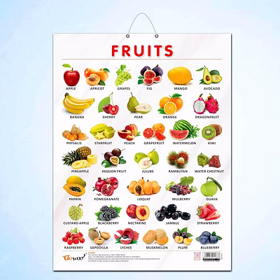 FRUITS CHART GLOSS LAMINATED | Fruitful Discoveries: Gloss-Laminated ...
