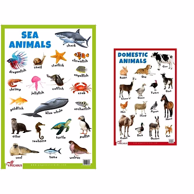 Sea Animals - Thick Laminated Primary Chart+Domestic Animals - Thick ...