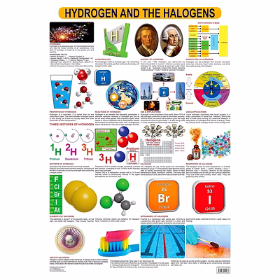Hydrogen & the Halogens Wall Chart (Science Chart) - Both Side Hard ...