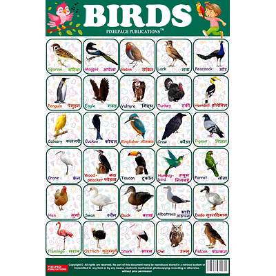 Birds Chart - Early Learning Educational Charts for Kids | 18 x 23 Inch ...