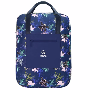 Lipway Sr 250mg Capsule - | NCCC Online Store