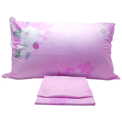 3 IN 1 Pillow Case With Zipper 18x28 - Assorted, 18 X 28 IN | NCCC ...