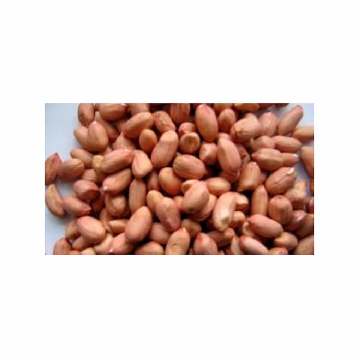 Java Peanuts - | Indian Business Portal