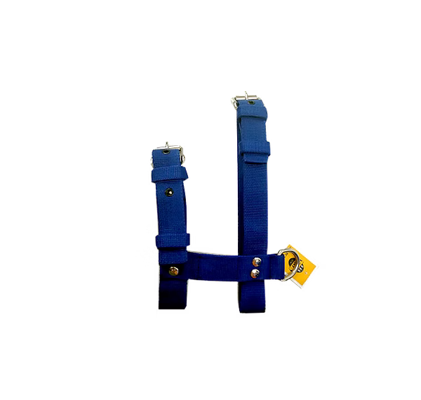 Body Collar 1",1-1/4",1-1/2",2" - 1" | NCCC Online Store