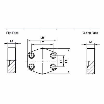 SAE BLANKING FLANGE- 3000 Series - BLFL08-61 | Indian Business Portal