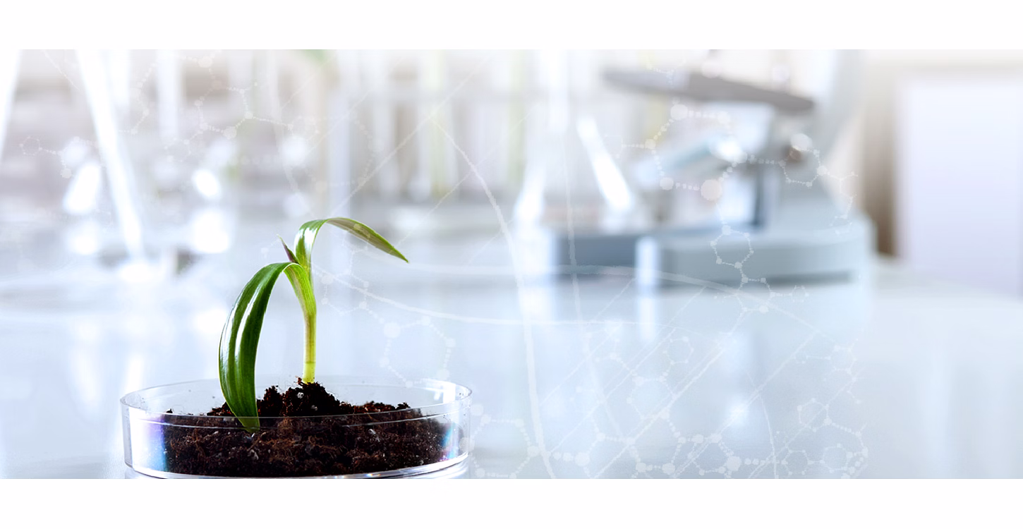 Kinovett Scientific Solutions Co.