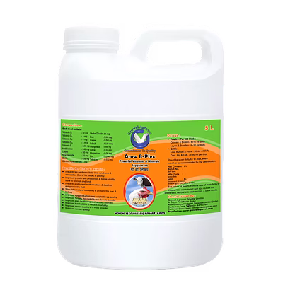 Dairy Cattle : Grow B-Plex – Vitamin B-Plex For Poultry : With 19 ...