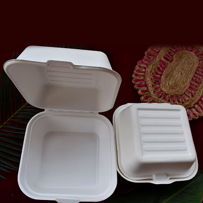 CLAMSHELL BURGER BOX | Ahmedabad | ID:8271535