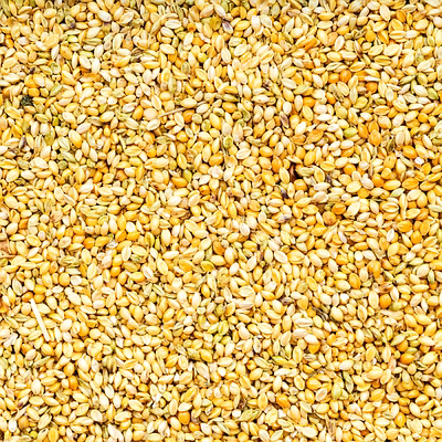 Premium Foxtail Millet (Kangi/Rala) – High-Fiber & Gluten-Free | Indian ...