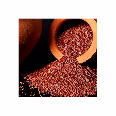 Ragi / Finger millet - Origin India, Gluten-Free, Rich in Calcium ...
